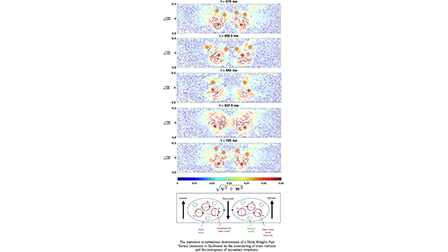 An in-depth examination of flow structures organization downstream of a ...