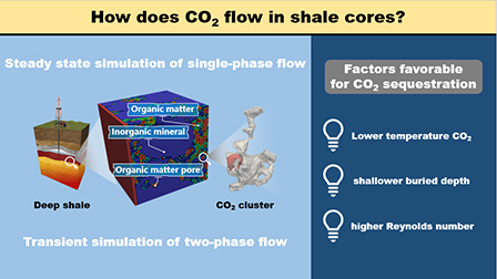 Pore-scale flow simulation of CO2 sequestration in deep shale based on ...