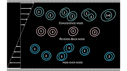 Hydrodynamic collision and deformation of compound droplet pairs in confined shear flow ...