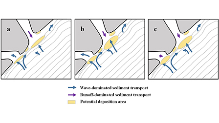 Effects of wave forces on sediment transport patterns in micro-tidal ...