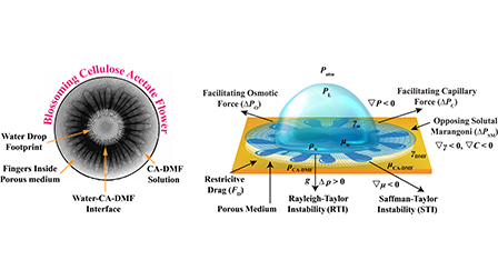 Coupled instability modes at a solvent/non-solvent interface to ...