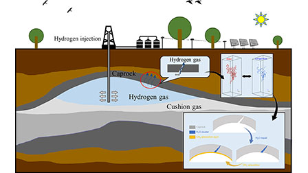 Molecular mechanisms of hydrogen leakage through caprock in moisture ...