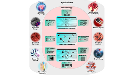 Advances in biomedical fluid–structure interaction: Methodologies and ...