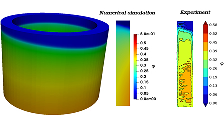 Three-dimensional numerical investigation of a suspension flow in an ...