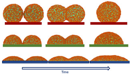 Coalescence of sessile aqueous droplets laden with surfactant | Physics ...
