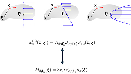 On the Hinch–Kim dualism between singularity and Faxén operators in the ...