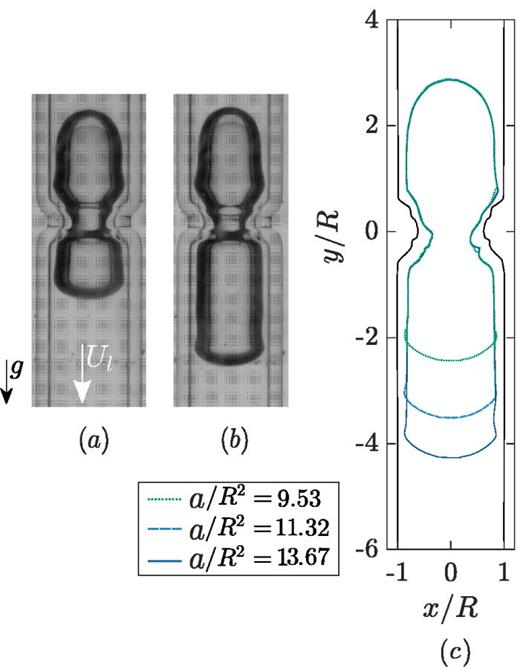 Equilibrium Taylor bubble in a narrow vertical tube with constriction ...