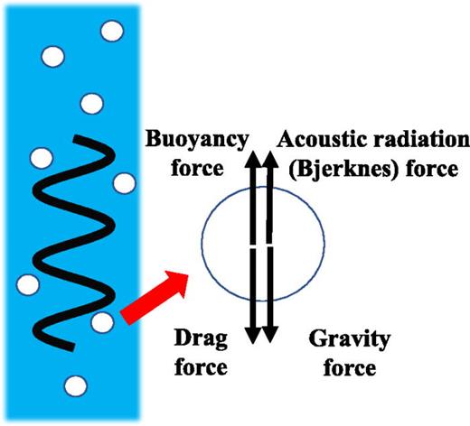 How do various forces affect pressure waves in bubbly flows? | Physics ...