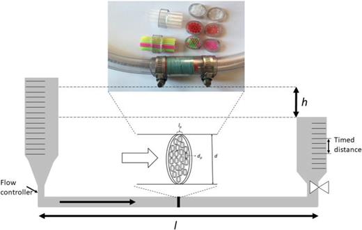 Flow resistance of phloem sieve plates revisited using an experimental ...