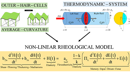 Non-linear electro-rheological model of a membrane immersed in Tanner ...