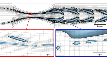 Behavior of small water droplets in a highly viscous flow in a ...
