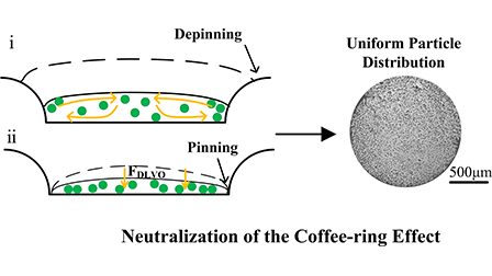 Neutralizing coffee-ring effect using gradual structures for uniform ...