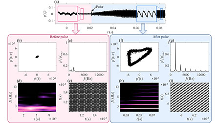Numerical study of triggered thermoacoustic instability driven by ...