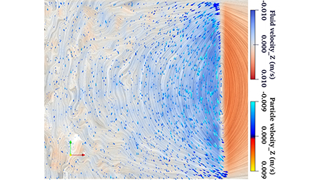 Particle-scale analysis on dynamic response of turbidity currents to ...