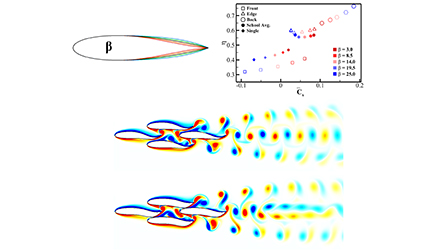 Effects of body shape on hydrodynamic interactions in a dense diamond ...