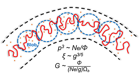 Local swelling effect of flexible entangled polymer chains in athermal ...