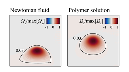 Numerical study of a laminar vortex ring of a polymer solution ...