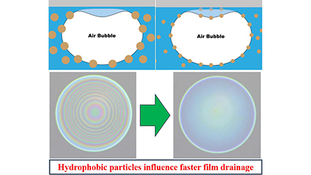 Influence of hydrophobic particles on the film drainage during bubble–solid interaction ...