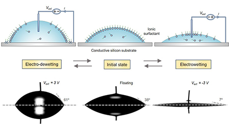 Polarity-dependent electro-wetting/-dewetting for efficient droplet ...