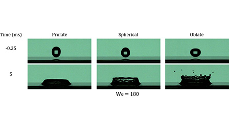 Impact dynamics of non-spherical droplets on a thin water film ...