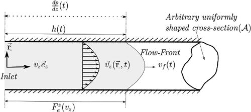 Publisher's Note: “Transient dynamics of pressure-driven encroachment ...