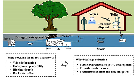 Formation and growth of wipe blockages due to a vertical obstruction in ...