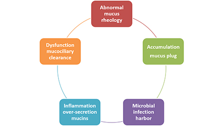 Highly distinctive linear and nonlinear rheological behaviors of mucin ...