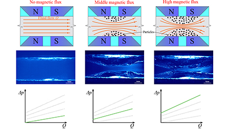 Grasping the behavior of magnetorheological fluids in gradient pinch ...
