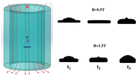 Investigation of the spreading of a liquid metal droplet under a ...