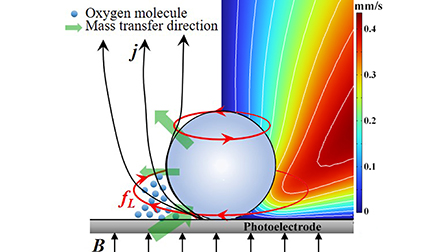 Effect of the vertical magnetic field on the bubble dynamic behaviors during ...