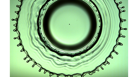 Bubble ring entrapment during a water drop impact on viscous oil films ...