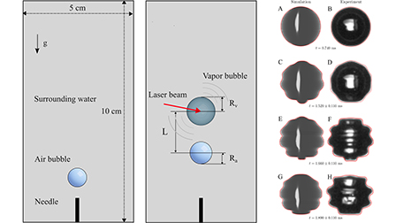 Simulation of bubble oscillations in cavitation-induced acoustic fields ...
