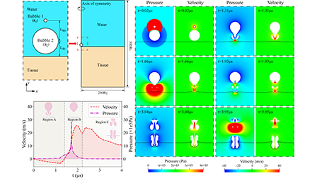 Dynamics of tandem bubble interaction near tissue | Physics of Fluids ...