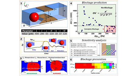 Droplet migration through deformable stenosed microchannel: Dynamics ...