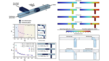 Understanding droplet formation in T-shaped channels with magnetic ...