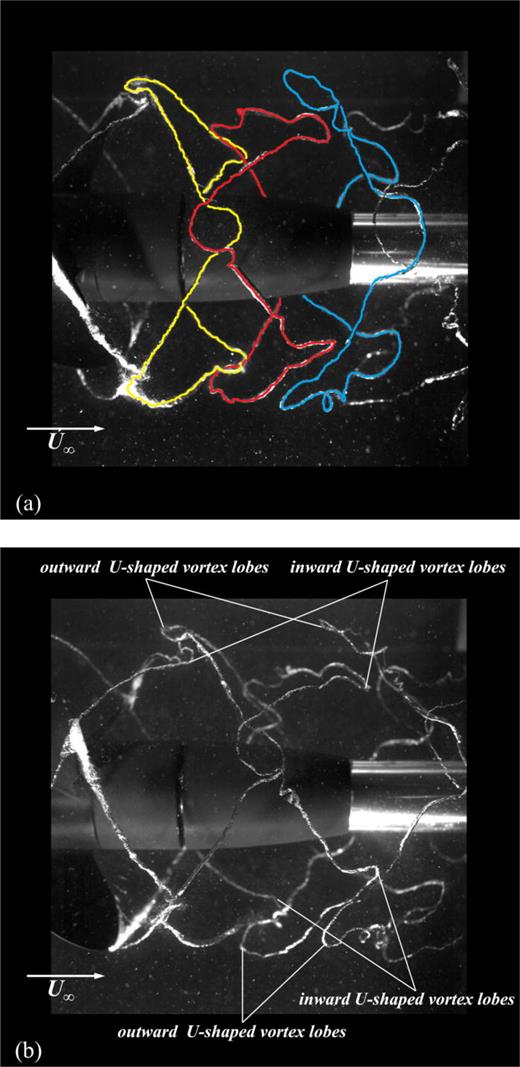 Interaction between the helical vortices shed by contra-rotating ...