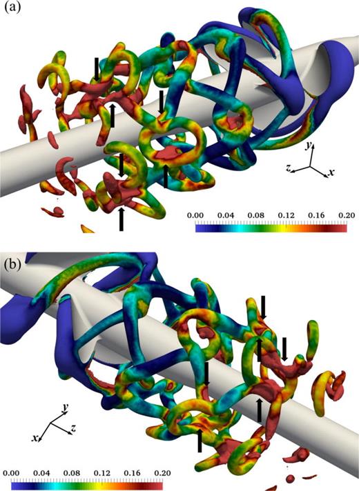 Interaction between the helical vortices shed by contra-rotating ...