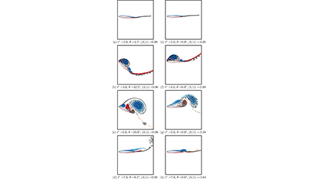 Lift tailoring on unsteady airfoils with leading-edge vortex shedding using an inverse ...