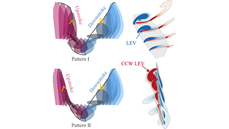 Aerodynamics of a flapping wing with stroke deviation in forward flight ...
