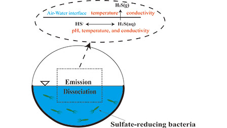 Risk prediction for hydrogen sulfide emission based on sulfate-reducing ...