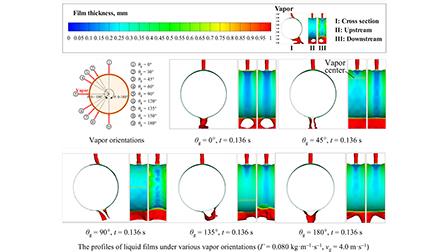 Falling film hydrodynamics and heat transfer under vapor shearing from ...