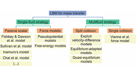 The lattice Boltzmann method for mass transfer of miscible ...