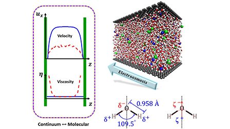 Revealing molecular insights into surface charge and local viscosity in ...