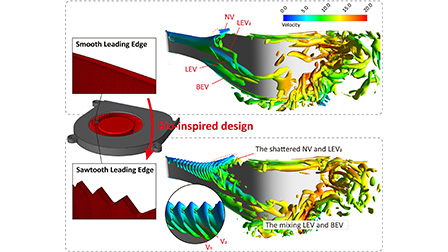 Morphological effects of leading-edge sawtooth on the vortex evolution ...
