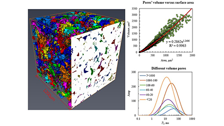 Simulation of nuclear magnetic resonance response based on the high ...