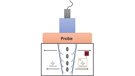 A theory of fluid–solid coupling in a porous medium for evaluating ...