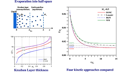 Evaporation into half-space: Kinetic simulation of Knudsen layer for ...
