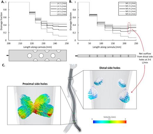 Venovenous extracorporeal membrane oxygenation drainage cannula ...
