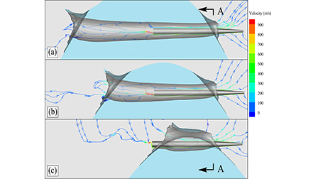 Numerical study on the cavity dynamics of water entry and exit for a ...