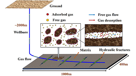 A fluid–solid coupling model for hydraulic fracture of deep coal seam ...